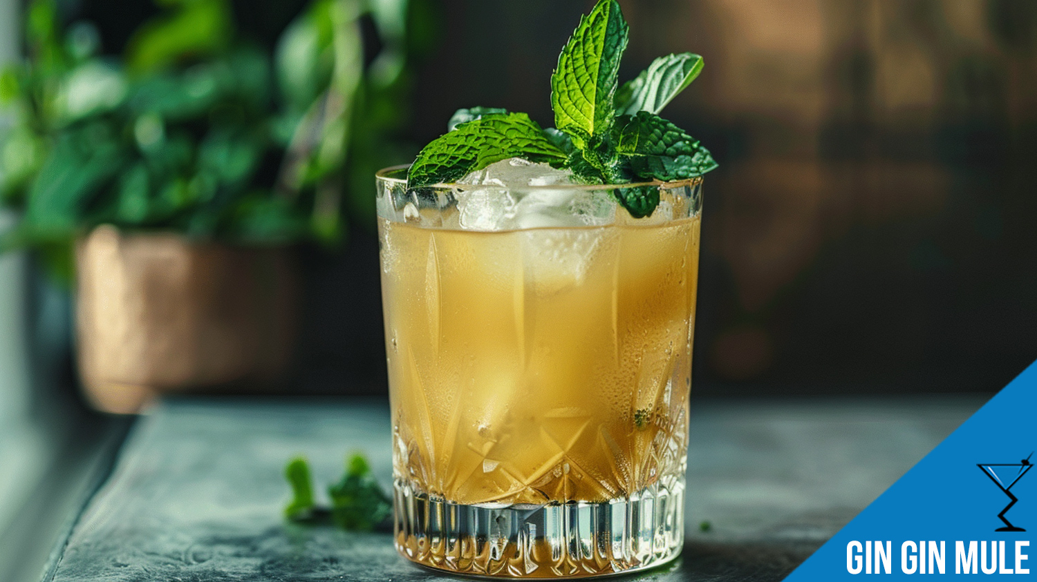 Gin Gin Mule – Food & Drink Recipes